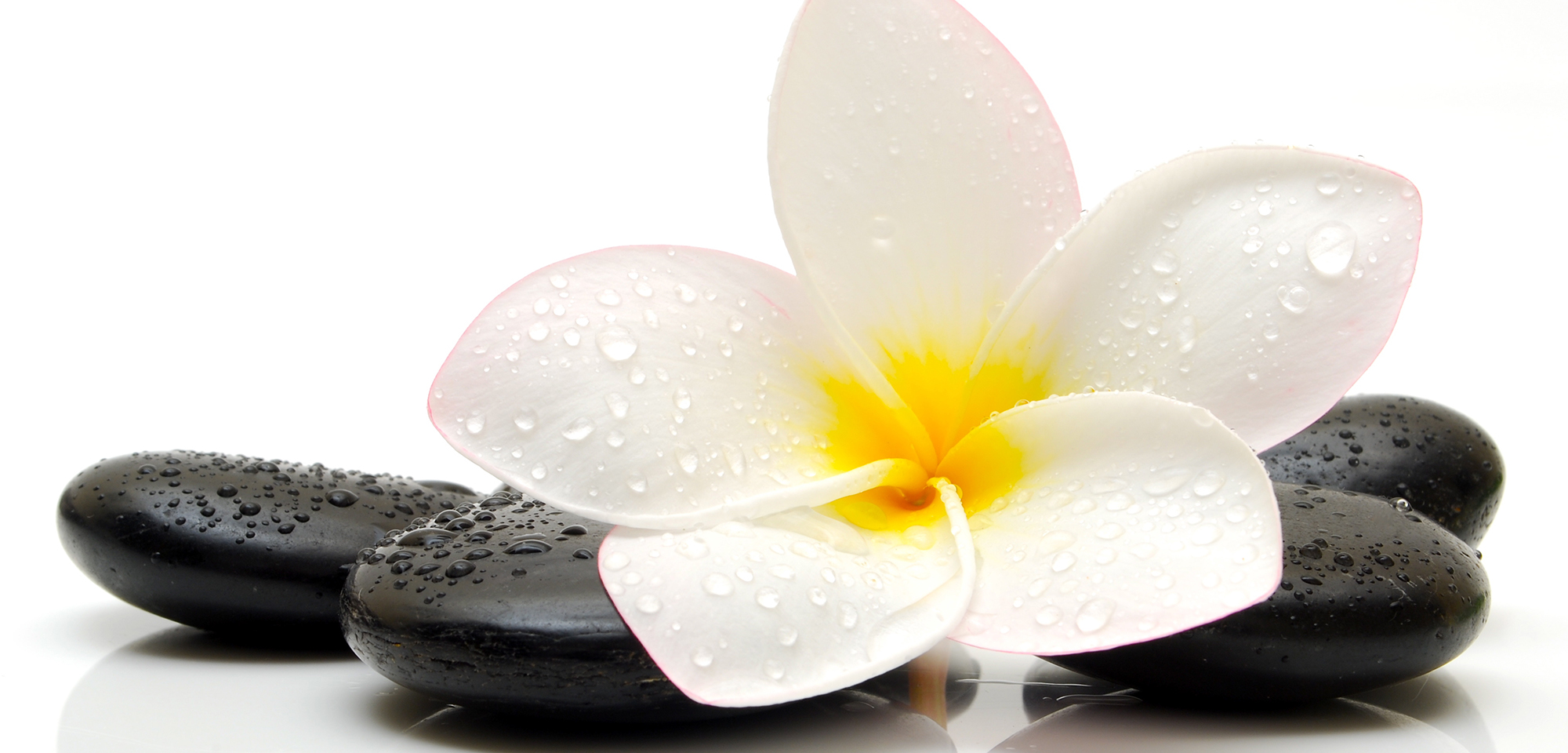 “plumeria” Massage Oil Bath And Body Oil Alohatherapy