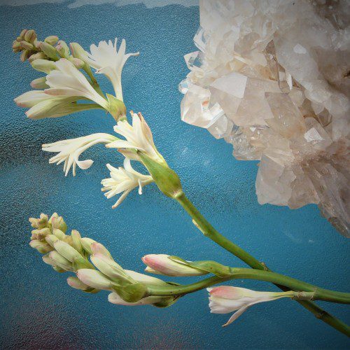 “tuberose” Massage Oil Bath And Body Oil Alohatherapy